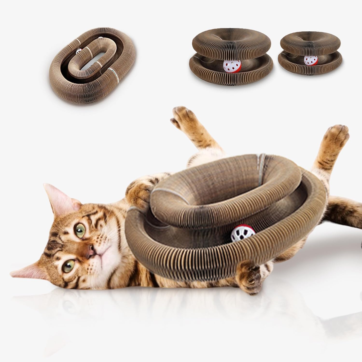 Foldable Cat Scratching Toy - Kitty Kurlz Magic – PawPowPet